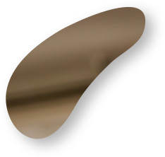 Home – Paloma Academy